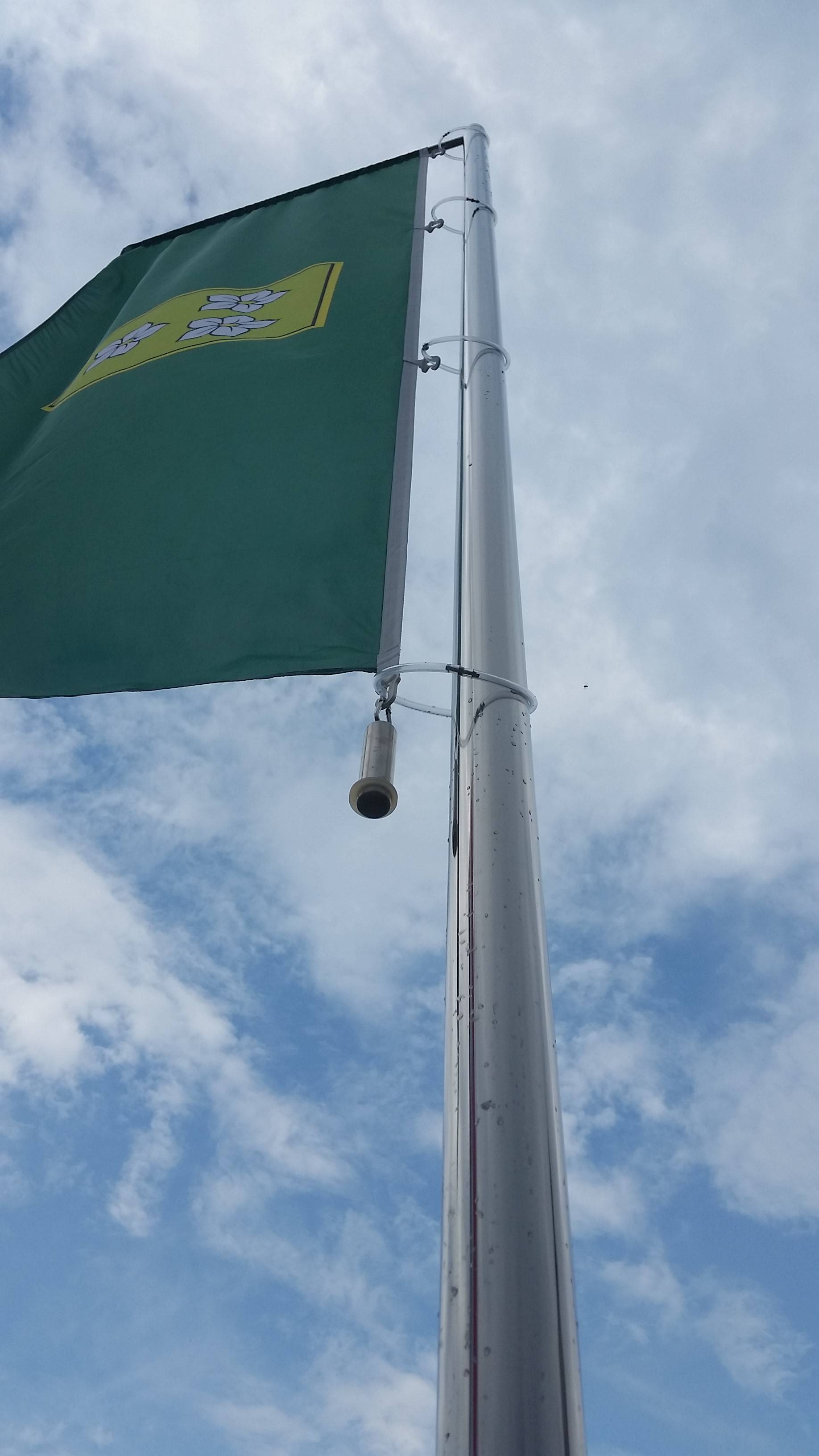 JARBOL ZA ZASTAVE – Cosmos design